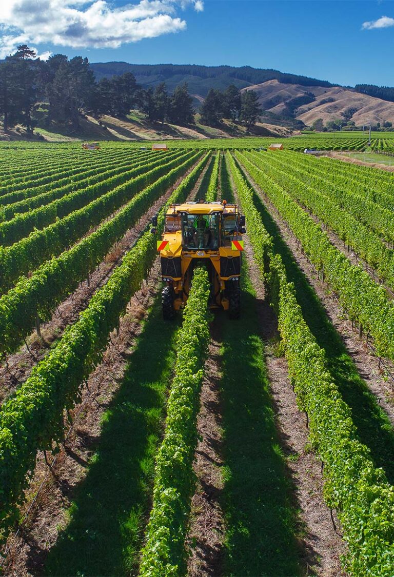 Our Location - Vinlink