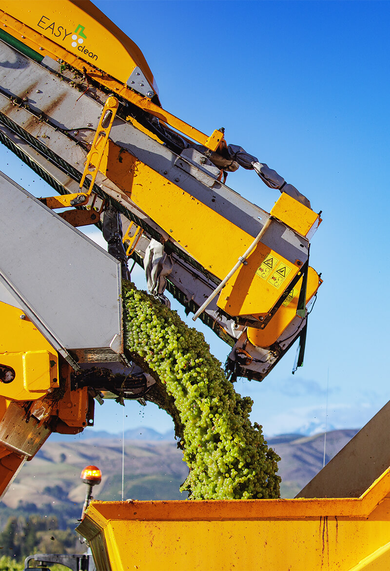 Vineyards & Growers - Vinlink